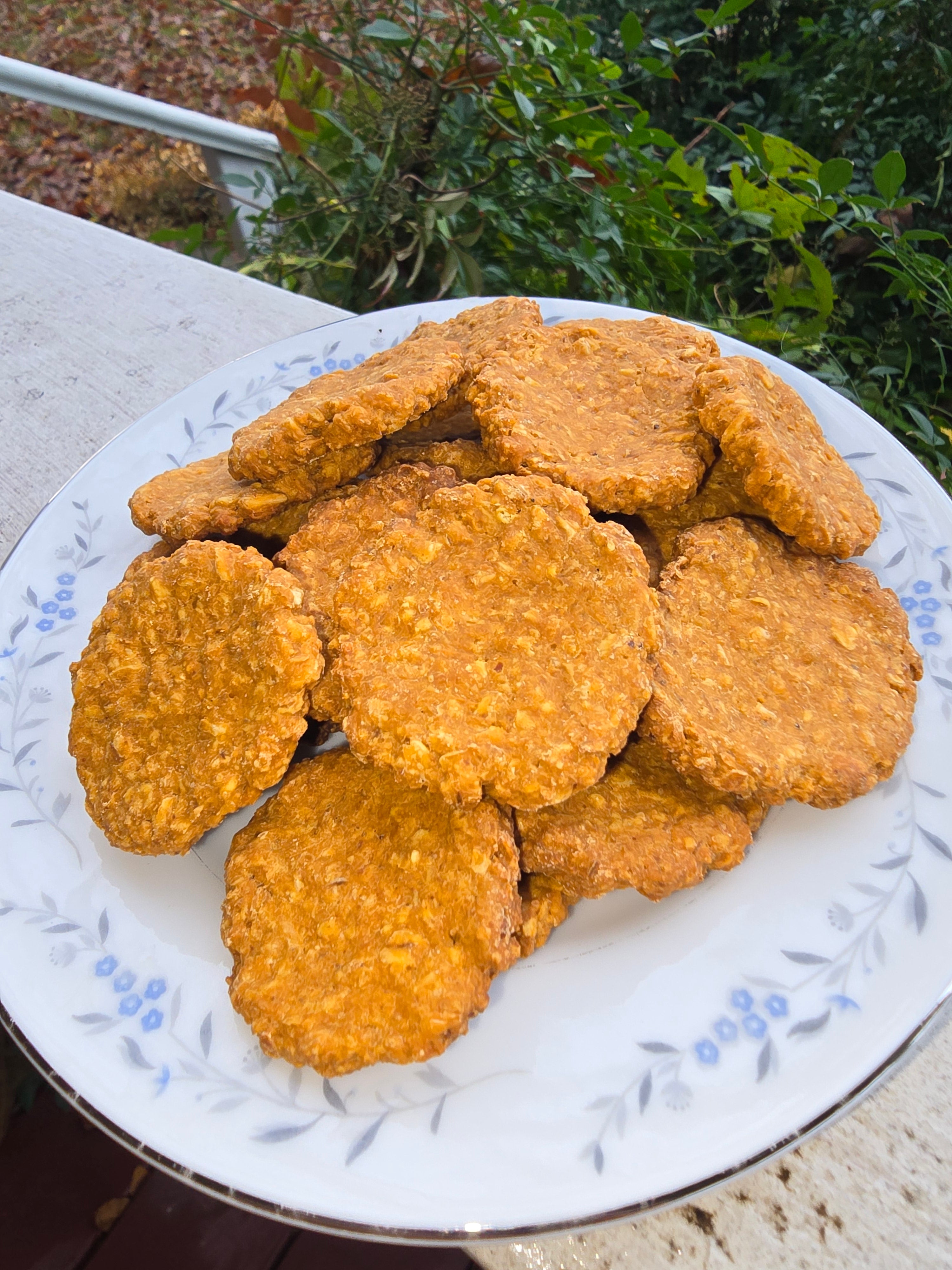 Peanut Butter Pumpkin Crackers – Didi's Originals
